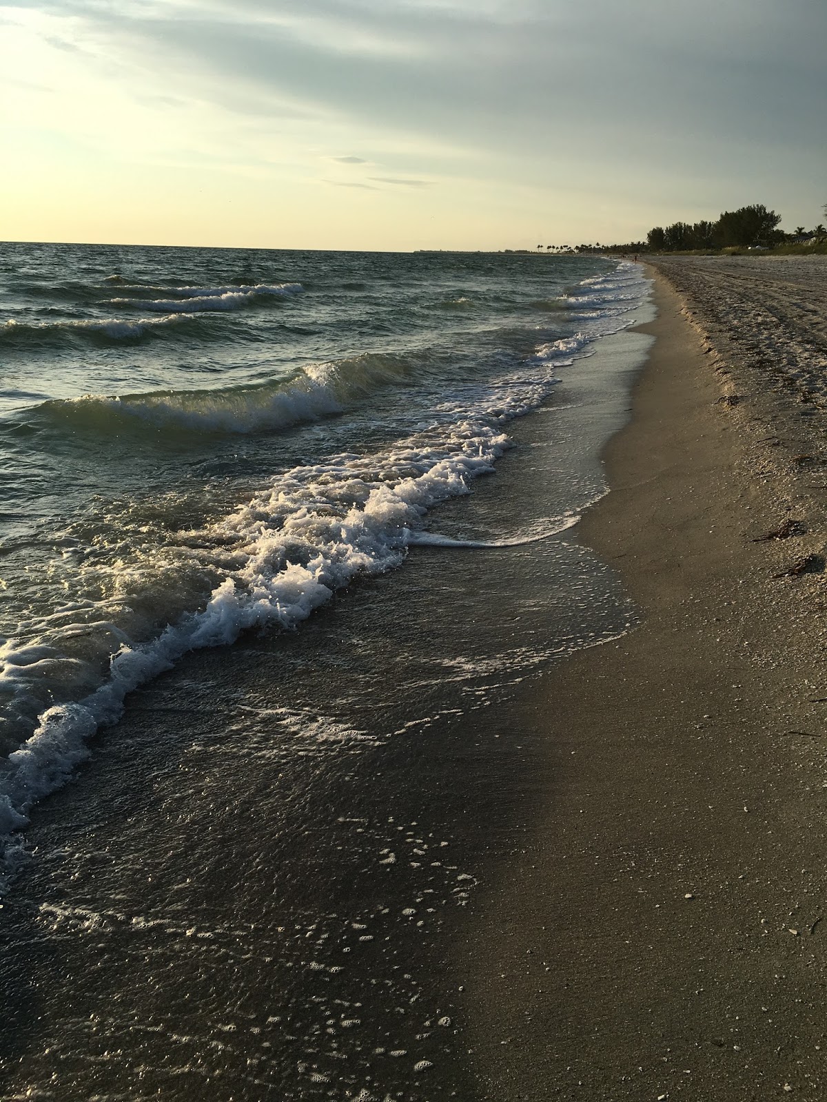 TeacherDance: A Sea Slice