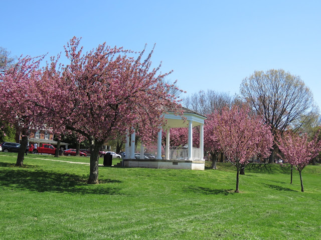 Viewing nature with Eileen: Baker Park, Frederick Maryland