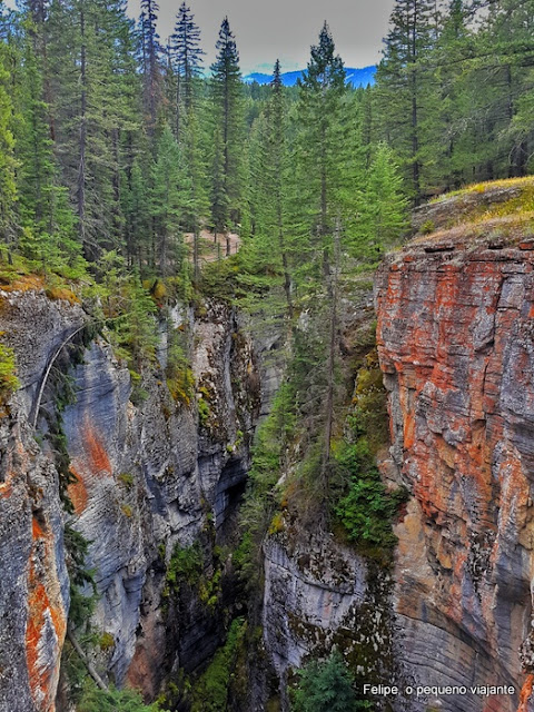 Guia de Jasper - onde ficar, comer, passear, roteiro e dicas práticas ...
