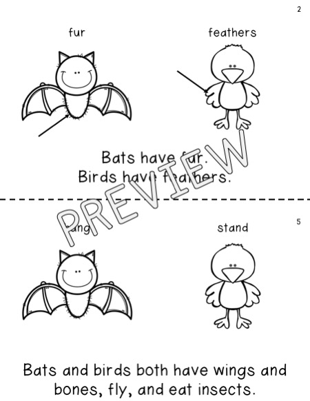 Emily Jane Creates: STELLALUNA UNIT