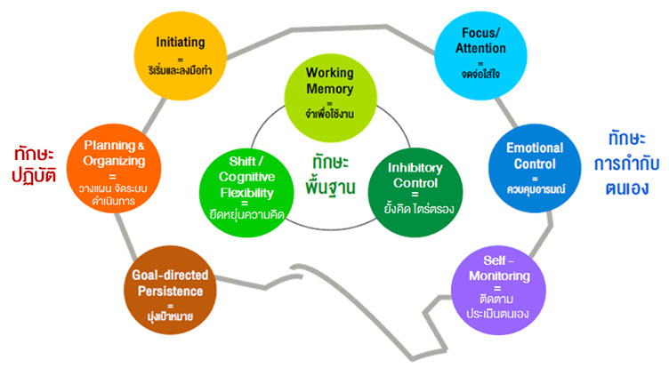 ทักษะสมอง EF โอกาสทองของเด็กปฐมวัย