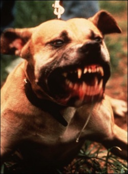 The Golden Dawn Blog: Troll vs. Troll