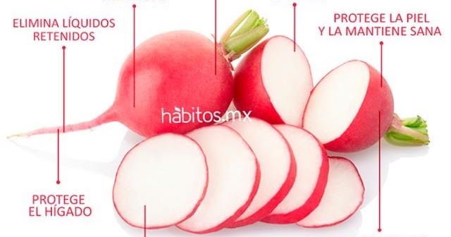 Infografias: Beneficios del rábano