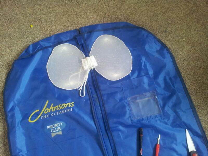 always keep dreaming: Roly Poly Bird Costume for Roald Dahl Day