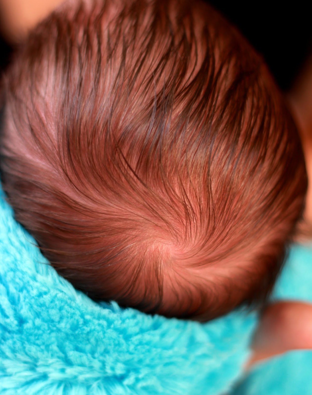 Mama's Felt Cafe: A First Foray Into Newborn Photography