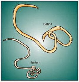 mhswkeslingternate13