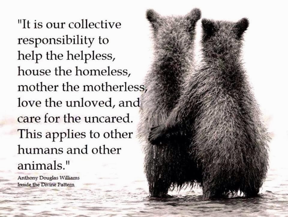 It is our collective responsibility to help the helpless, mother the ...