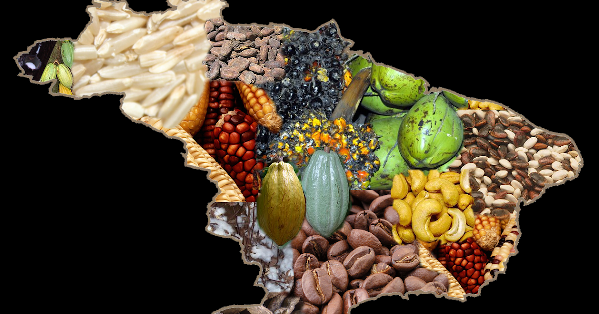 Export Portal: Agricultural Exports May Help Brazil Surpass Economic Crisis