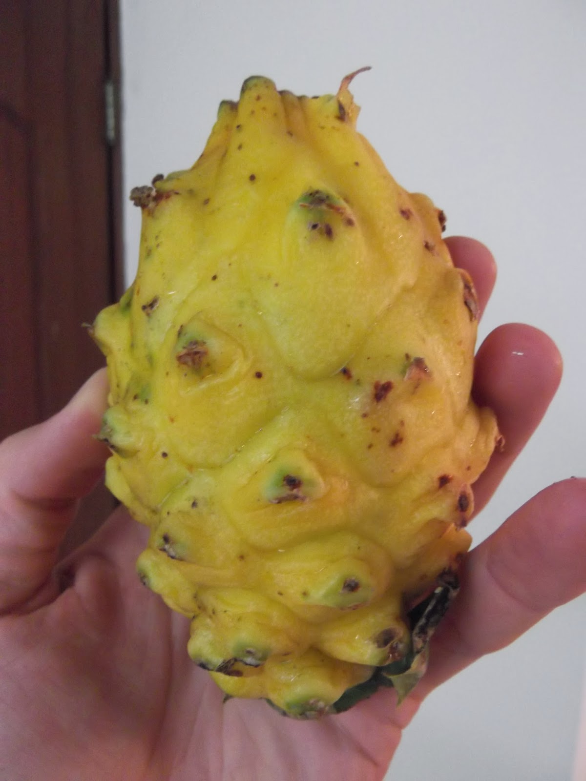 The BBC Update: Fruit Series: Pithaya (Dragon Fruit)