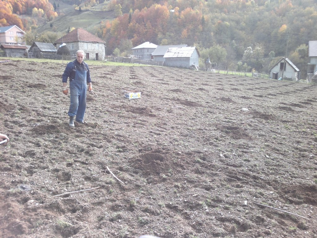 DŽEVDET - DŽEKA MUMINOVIĆ