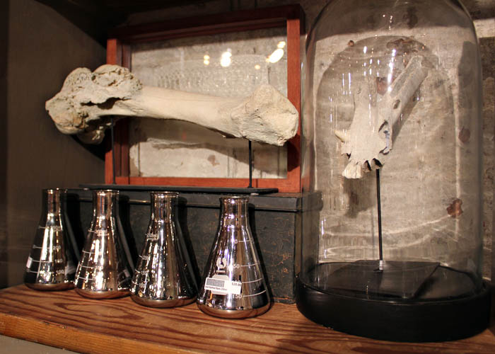 On the Shelf: Displays for the Scientist ~ GlassErnestHemingway