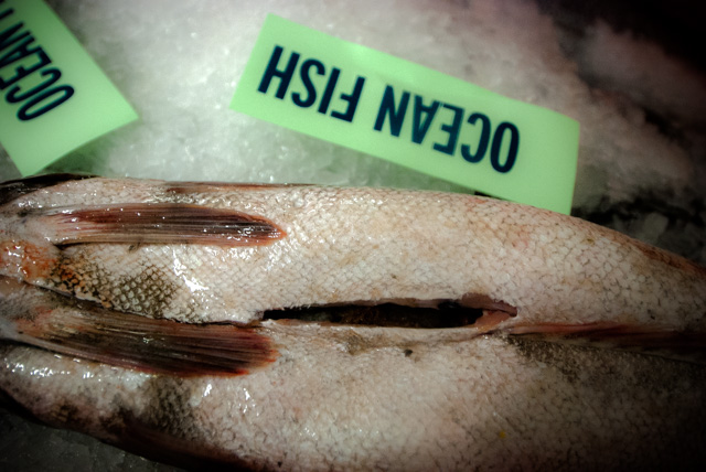 Through the Gaps! - Newlyn Fishing News: 'Tiz a soggy foggy # ...