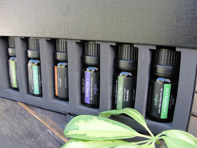 Anjou Aromatherapy Diffuser & Essential Oils Set