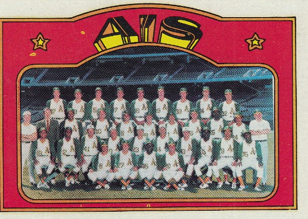 The Chronicles of Fuji: The Mustache Gang