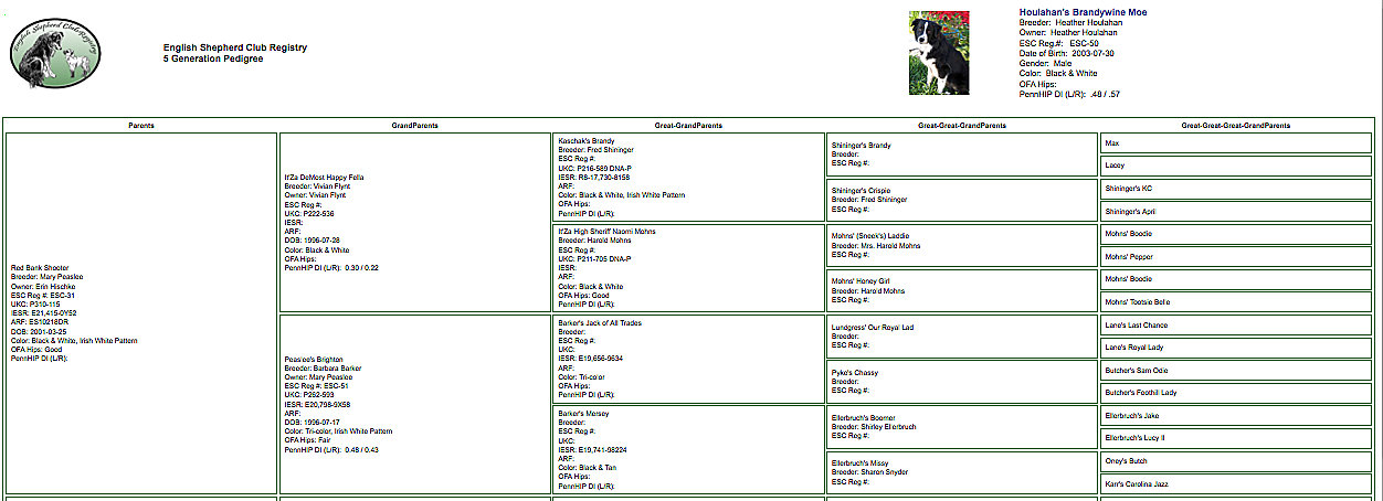 Raised By Wolves: Just the basics: How to read a pedigree
