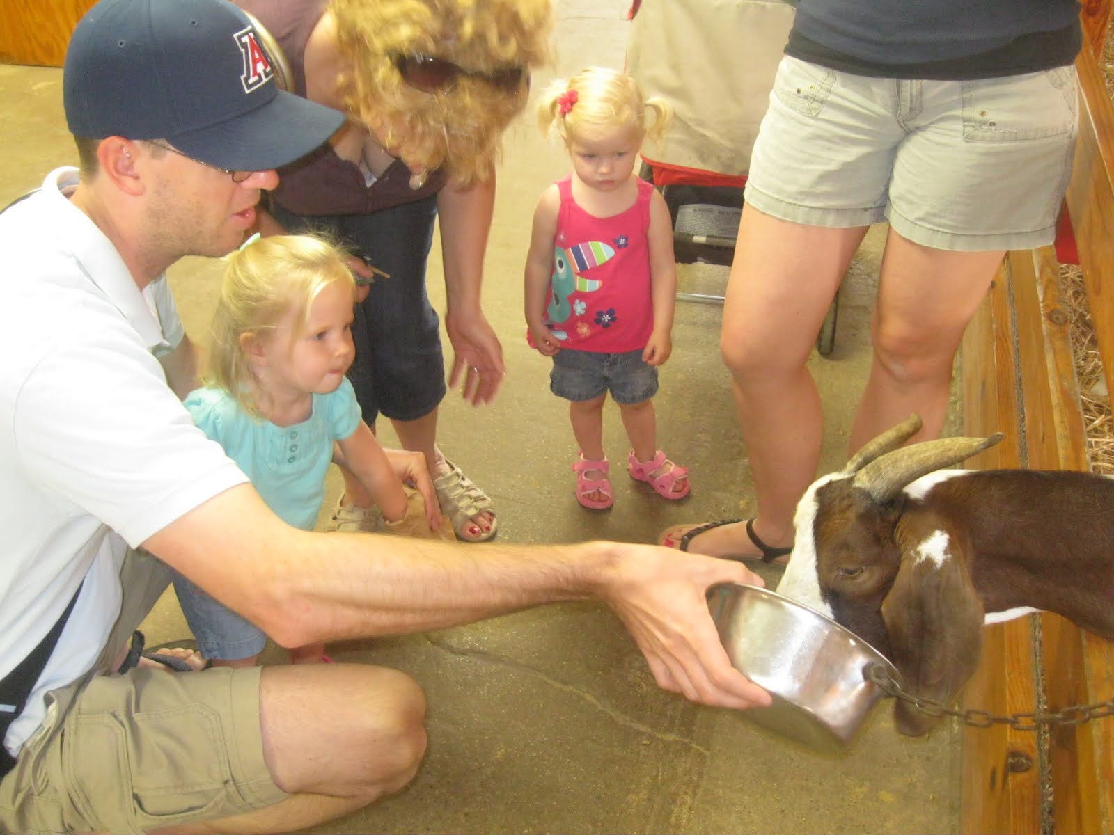 The Johnson Journey: Randall Oaks Petting Zoo