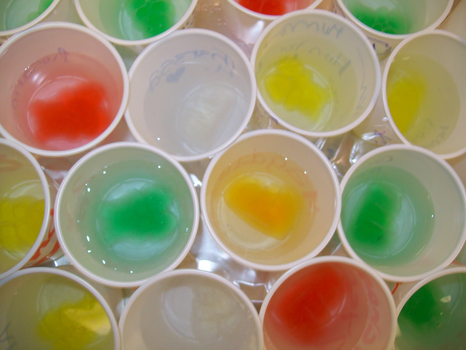 Science Facts for Fabulous Kids: What Will Happen to a Gummy Bear When ...