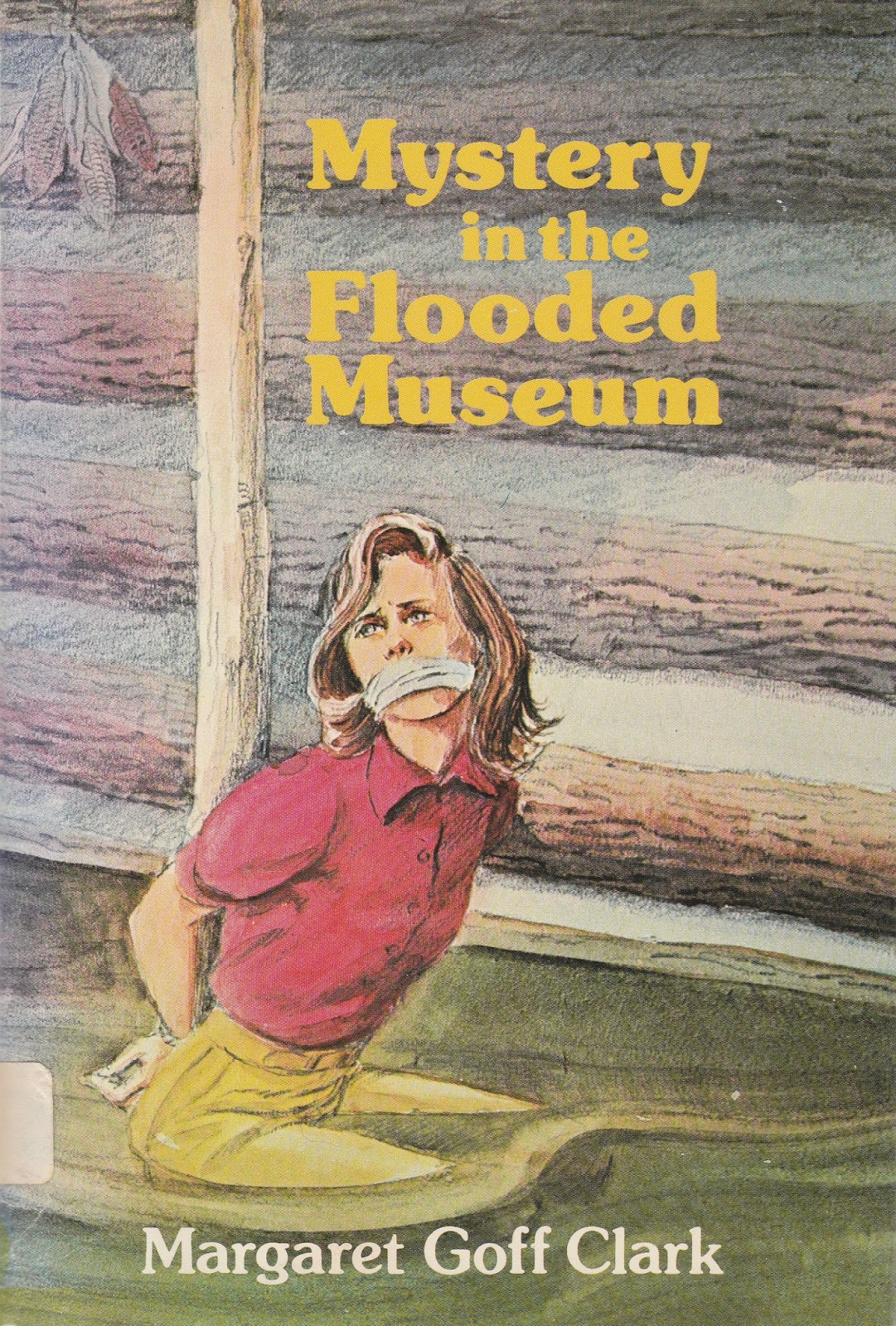 Series Books for Girls: Sebastian Island and Flooded Museum by Margaret ...