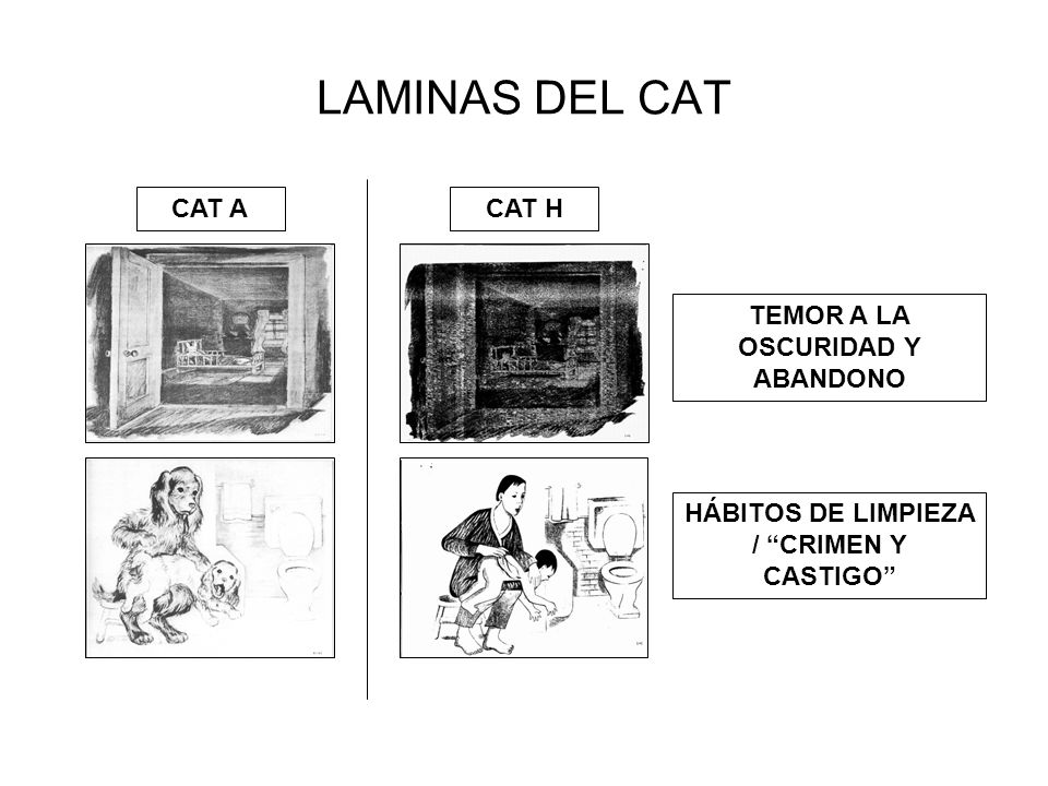Interpretación del CAT-A y CAT-H: Las 10 variables