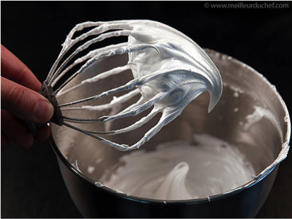 Functional Properties in Lemon Meringue Tart