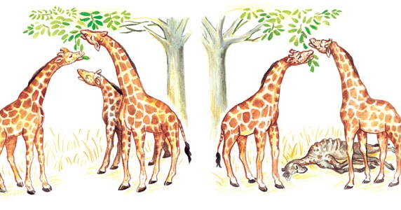 Ms. Mora's Biology Blog: EVOLUTION PART II: MECHANISMS OF EVOLUTION ...