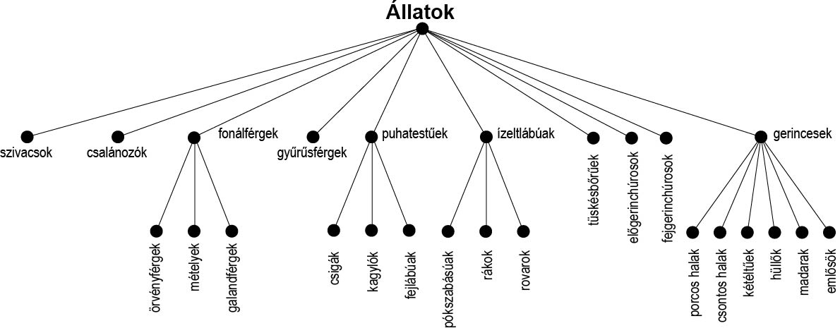 Mi történt a tudományban?: Az állatok rendszertana