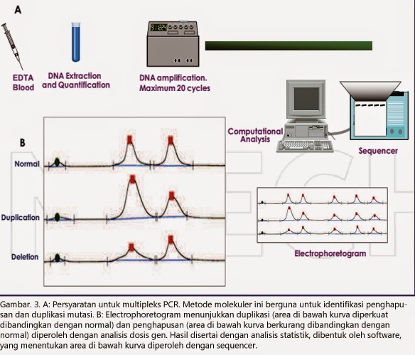 Sekilas tentang Polymerase Chain Reaction (PCR)