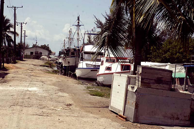 norlys photo: Del Caimito y otros Recuerdos.