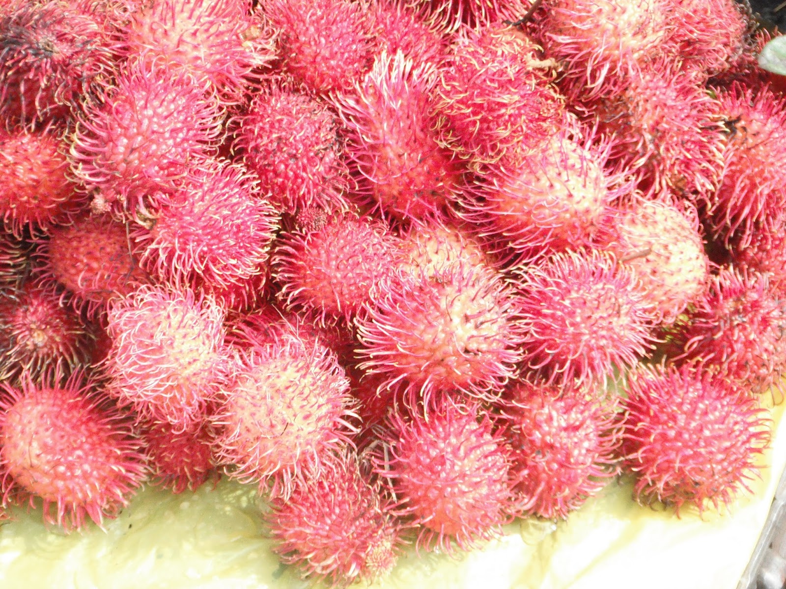 Chasing Marbles: Licha -- The Fruit That Looks Like a Muppet