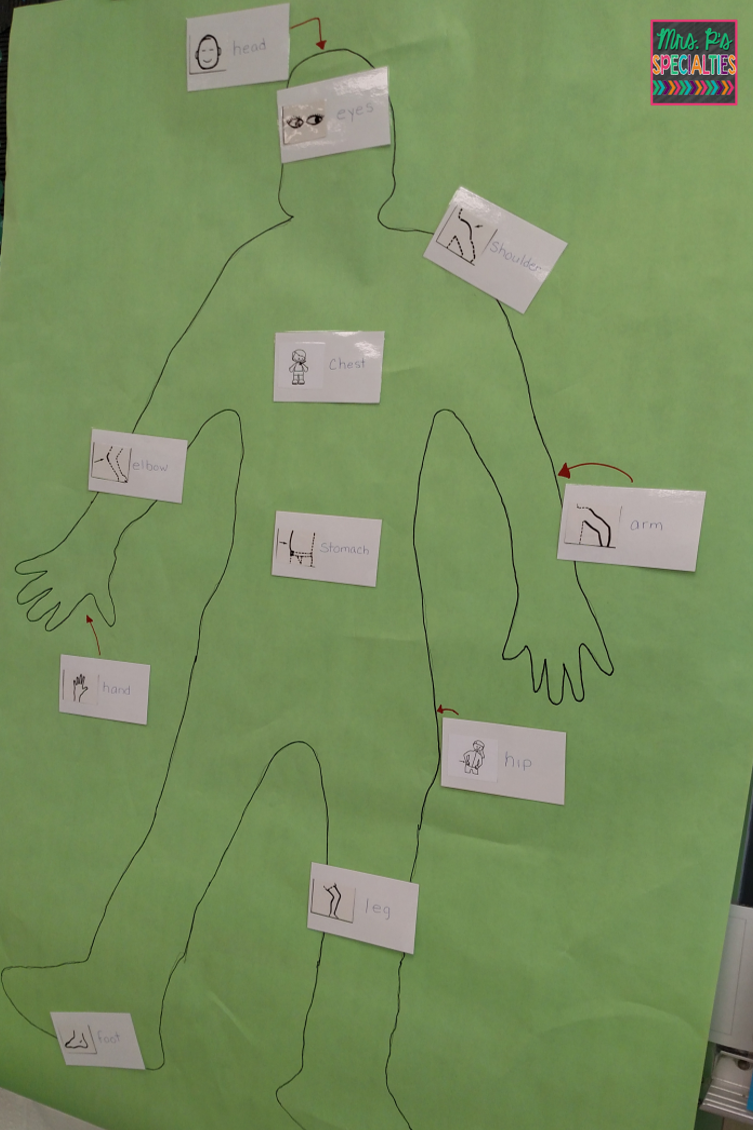 Hands On Activities to Teach About Body Parts · Mrs. P's Specialties