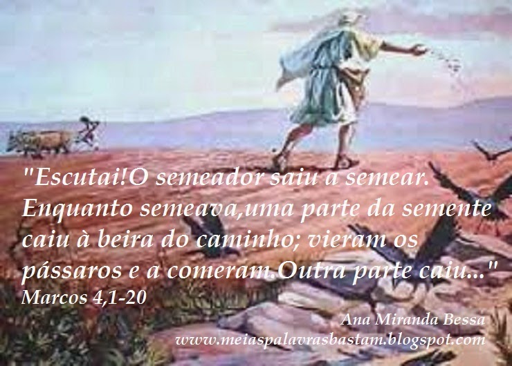 PALAVRA DE DEUS: PARÁBOLA DO SEMEADOR - MARCOS 4,1-20 - REFLEXÃO DIÁRIA