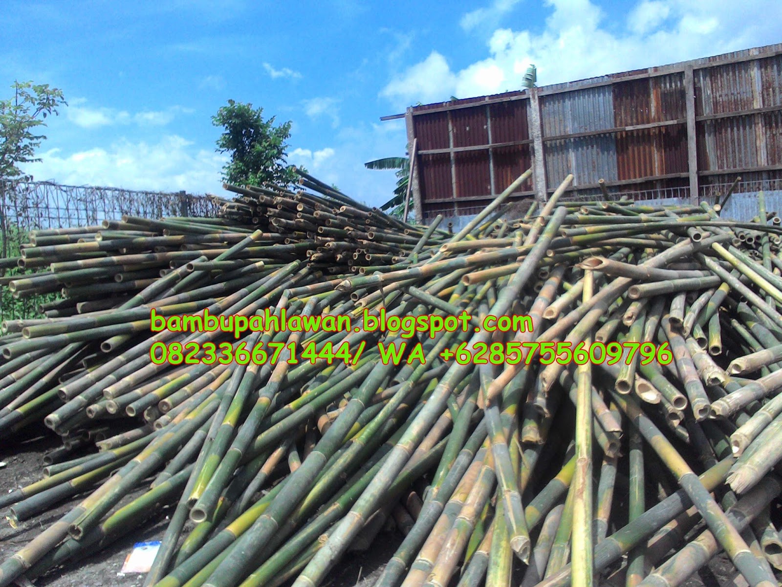 BAMBU PAHLAWAN: jual bambu banten jual sesek gedek banten Lebak ...