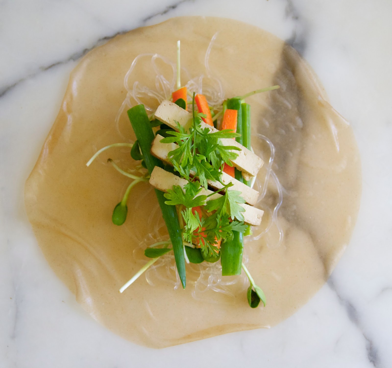 My Recession Kitchen...and garden: Brown Rice Spring Rolls with Peanut ...