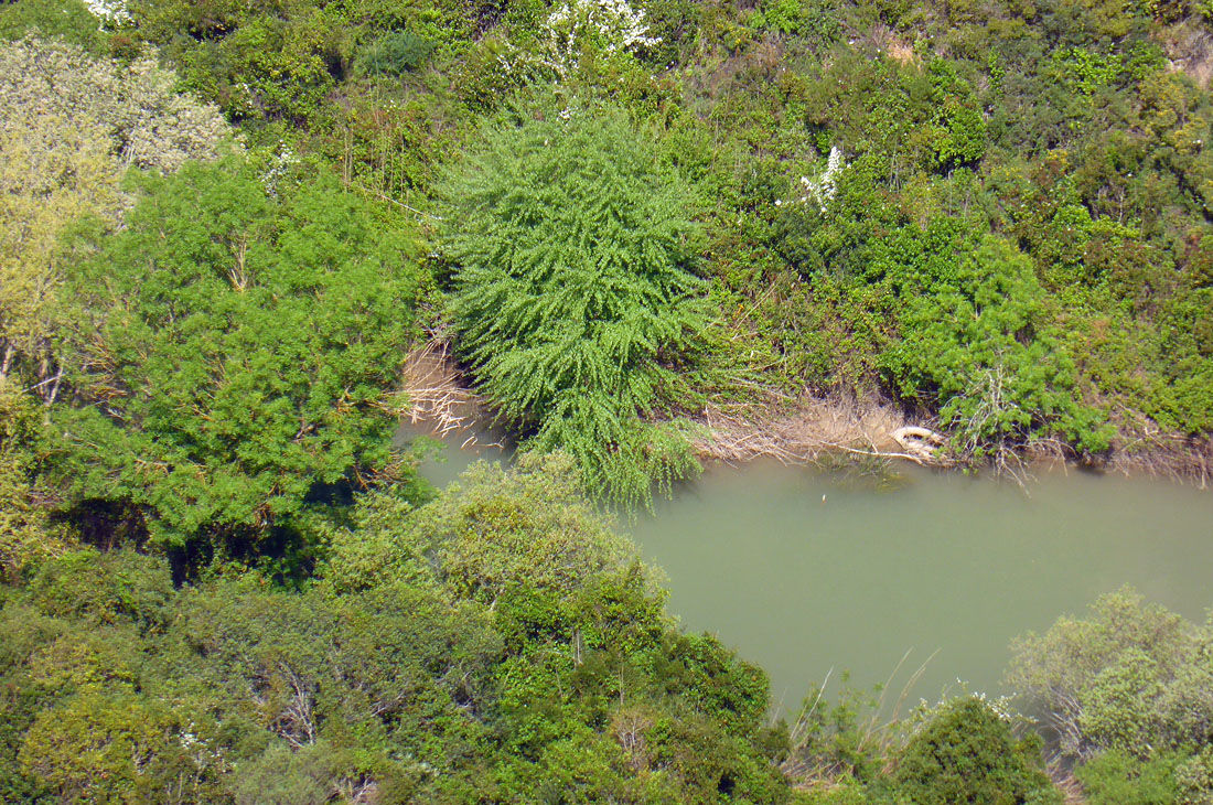 Senderismo El Tercer Tiempo: LA LAJA DE LOS JUNCALES (ALGODONALES)