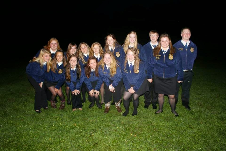 Down the Rabbit Hole