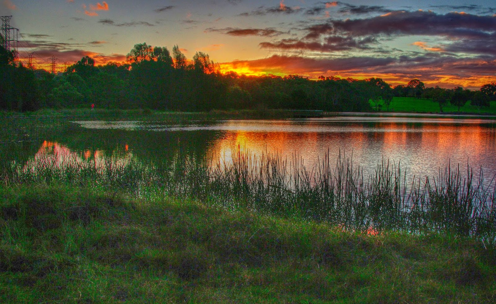 wandering in the light: Winter Solstice