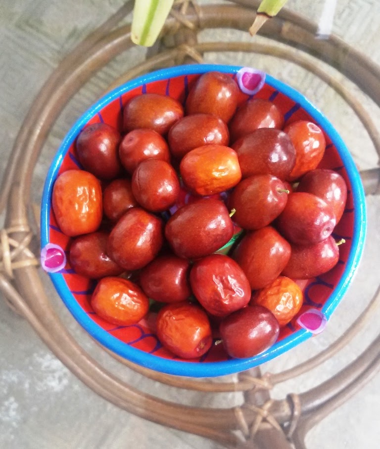 No le digas a mi madre que estoy haciendo fotos: Azufaifa, fruto del ...