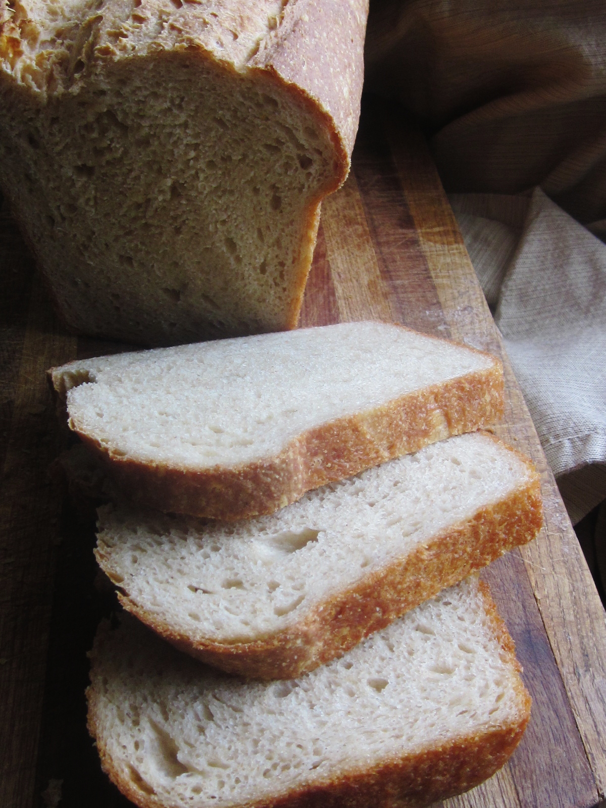 Chef Tess Bakeresse: 4 Ingredient No Knead Whole Wheat Bread Anyone Can ...
