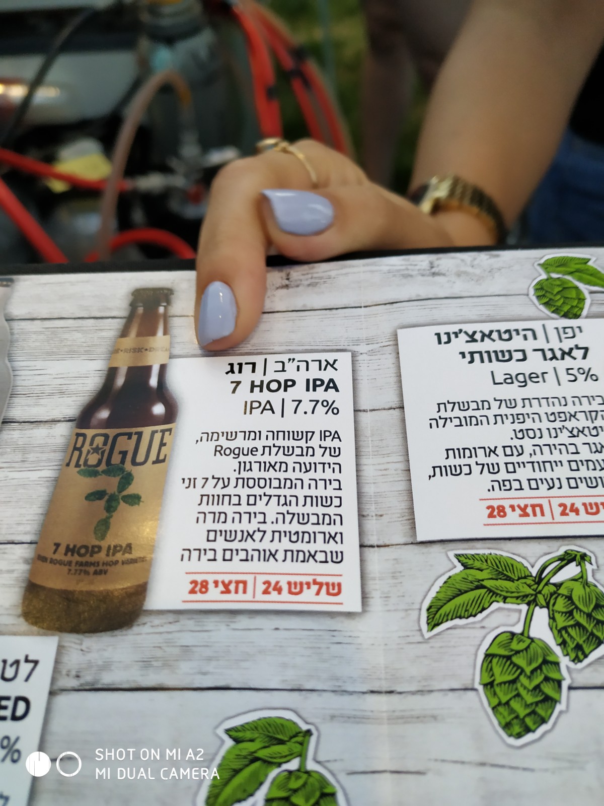 A Jewish Grandmother : Jerusalem Beer Festival, Great Fun