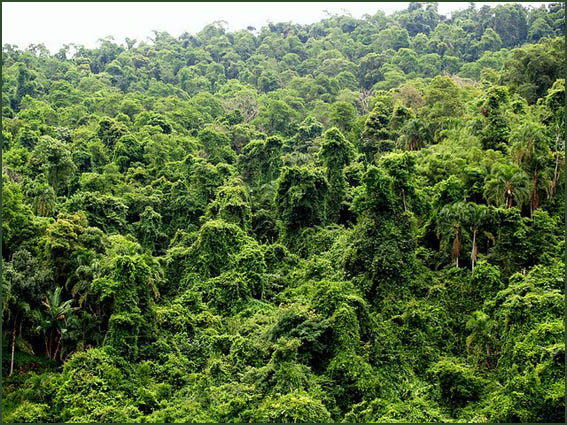 கூவலப்புரம்: September 2011