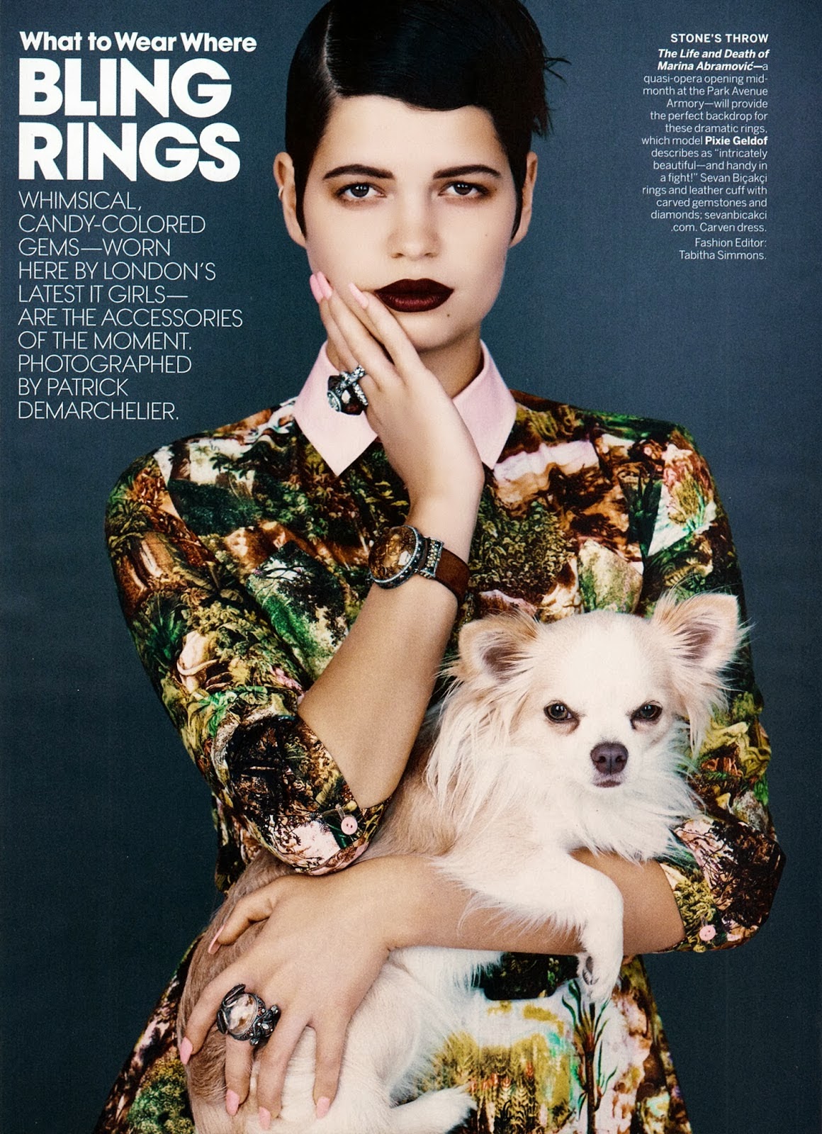 Bling Rings Magazine Photoshoot For Vogue US Magazine December 2013 ...