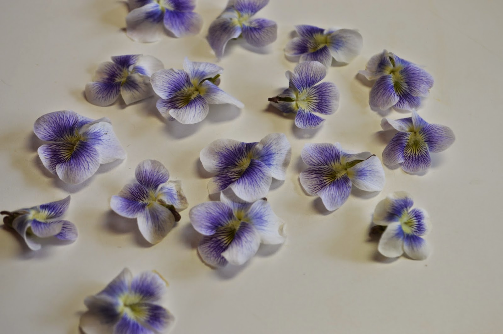 The Wright Family Farm: Wild Edibles // Violet Ice Cubes