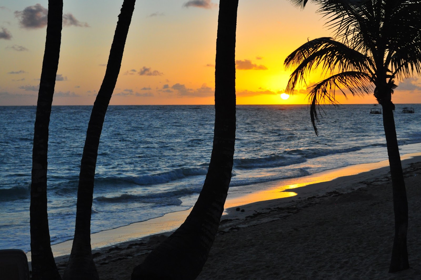 Pinmyboard: Beautiful beach sunset in Florida