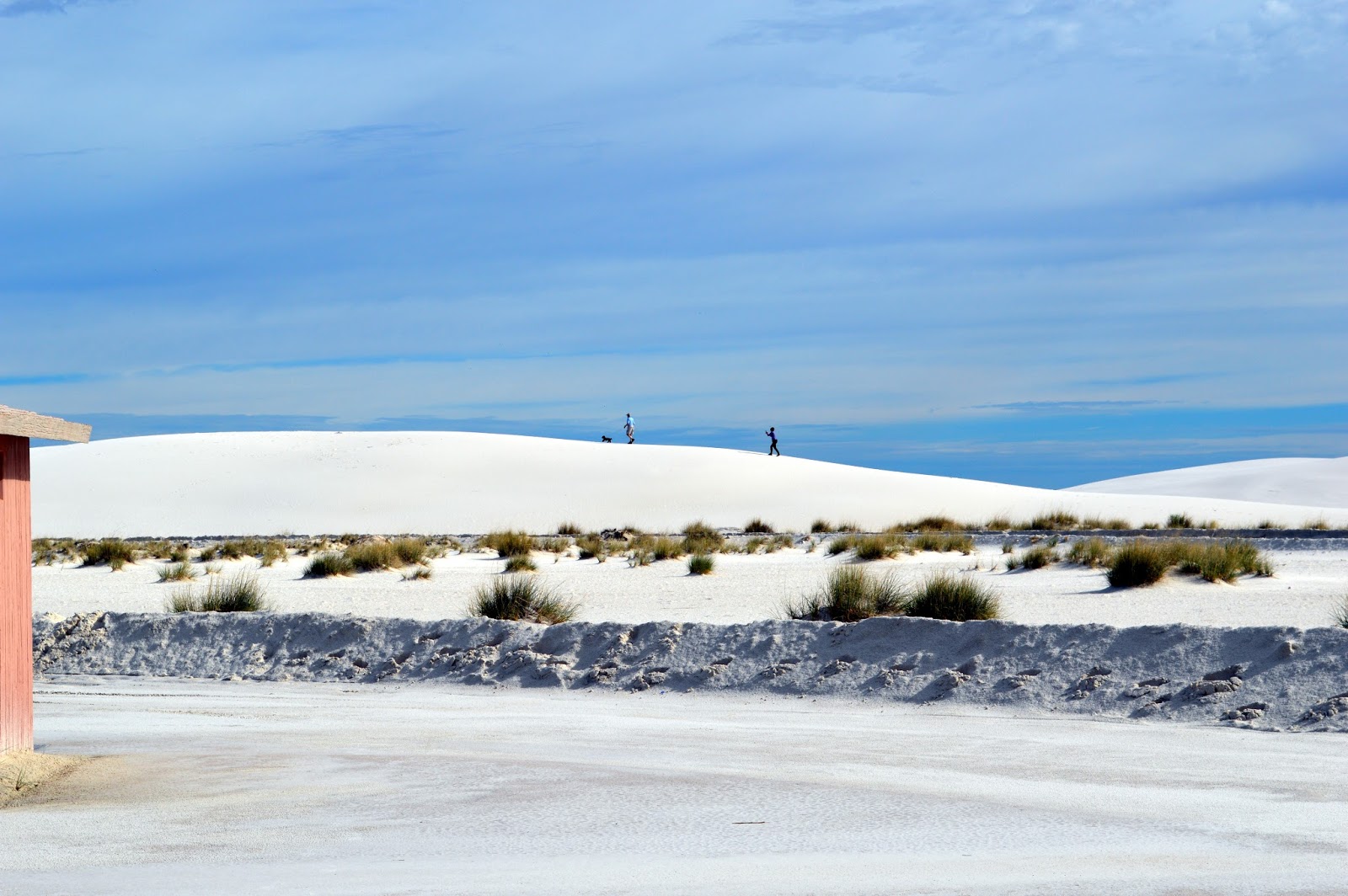 Treasured Traditions: #Project365: White Sands National Monument