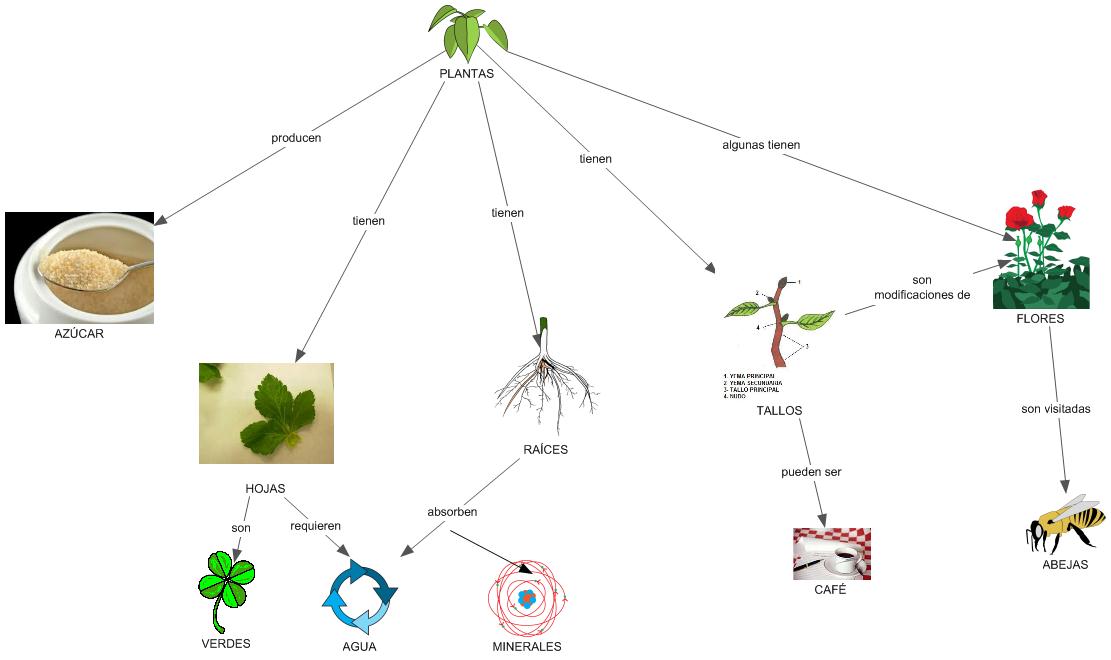 APRENDIENDO EN PRIMARIA: MAPA PLANTAS