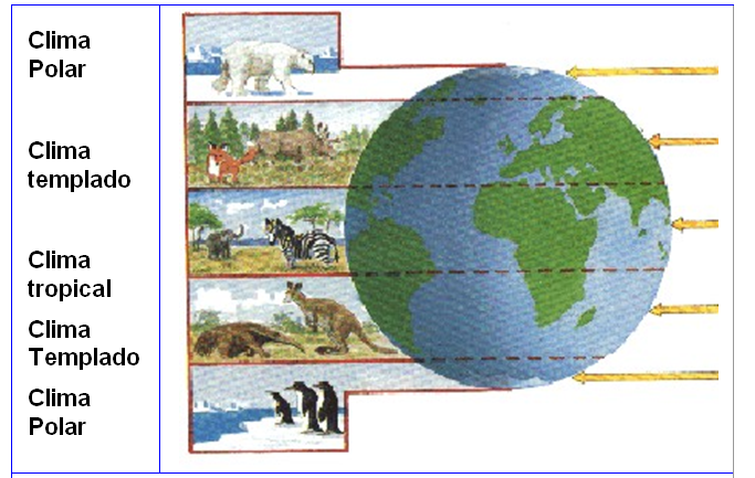 Currículo, Didáctica de las Ciencias Naturales y Tecnología: Tipos de ...