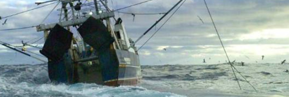 Pesca de Arrastre: Pesca de Arrastre