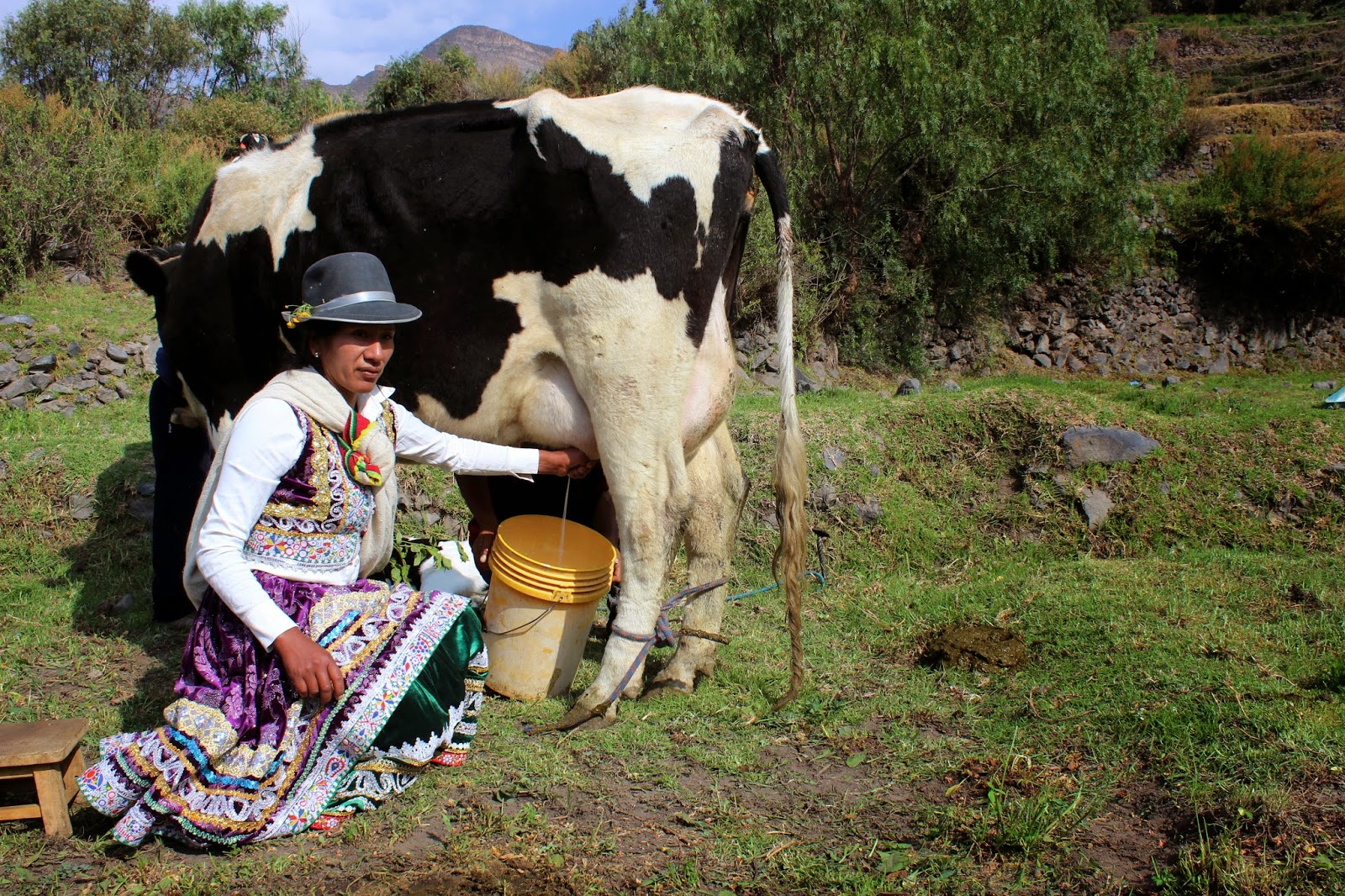 VALLE DE LOS VOLCANES: CHACHAS