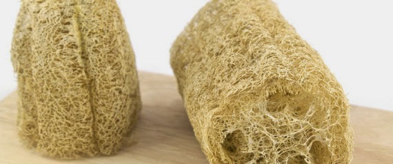 Alerta mundial sobre el uso del musú en el baño : DESDE LA REPÚBLICA ...