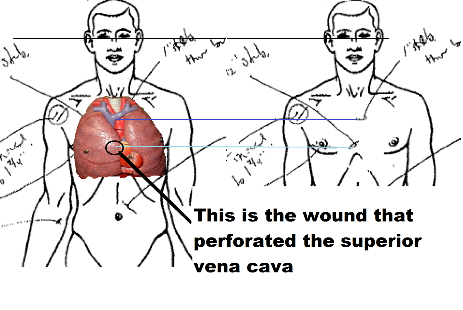 Jodi Arias Trial Truth: June 2014
